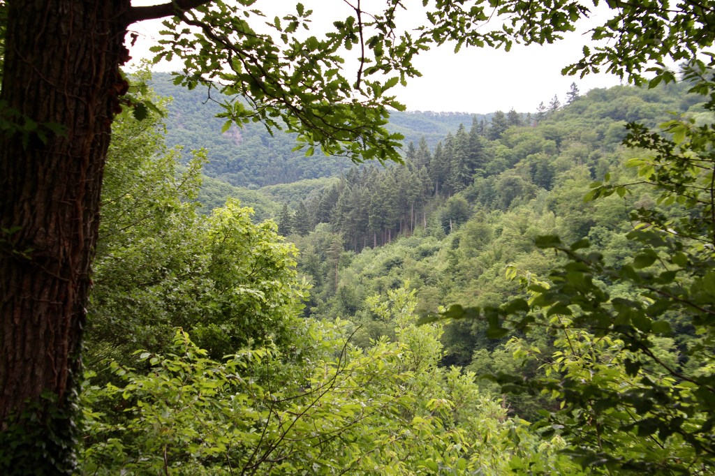 Visiting Eltz Castle in Germany’s Rhine River Valley | lifeheartslove